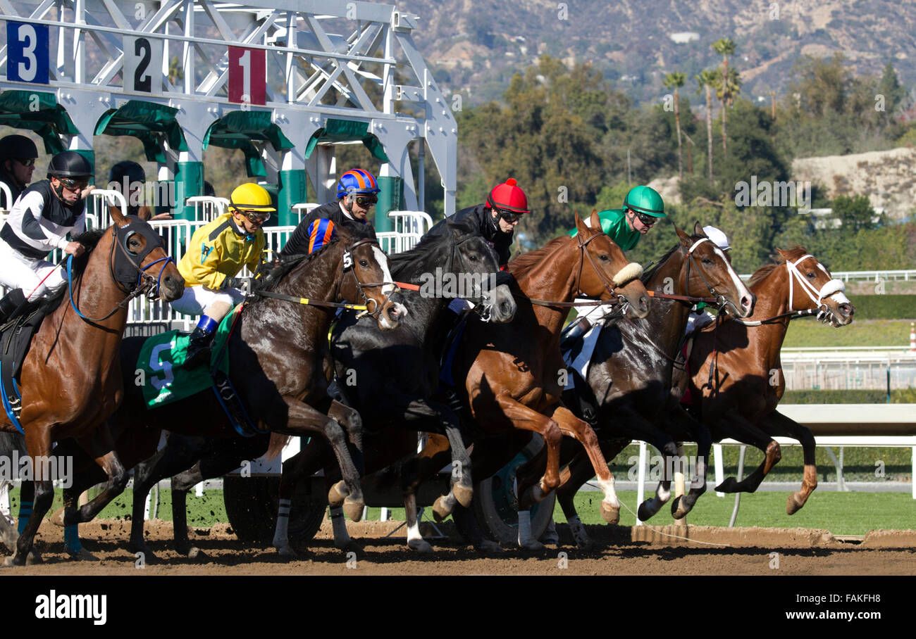 Thoroughbred Horse Races Stock Photo - Alamy