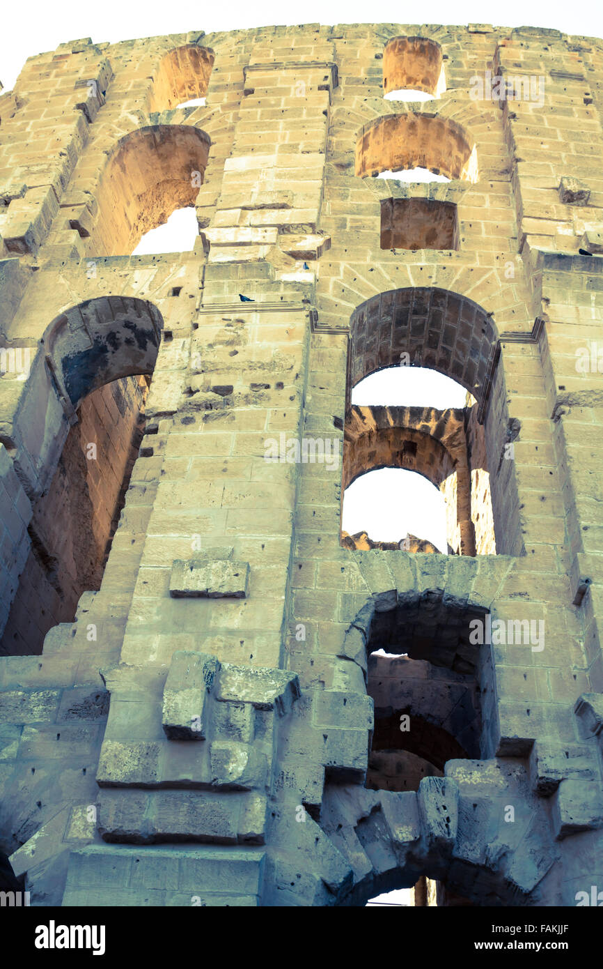 El Jem Coliseum ruins in Tunisia fighting gladiator Stock Photo - Alamy
