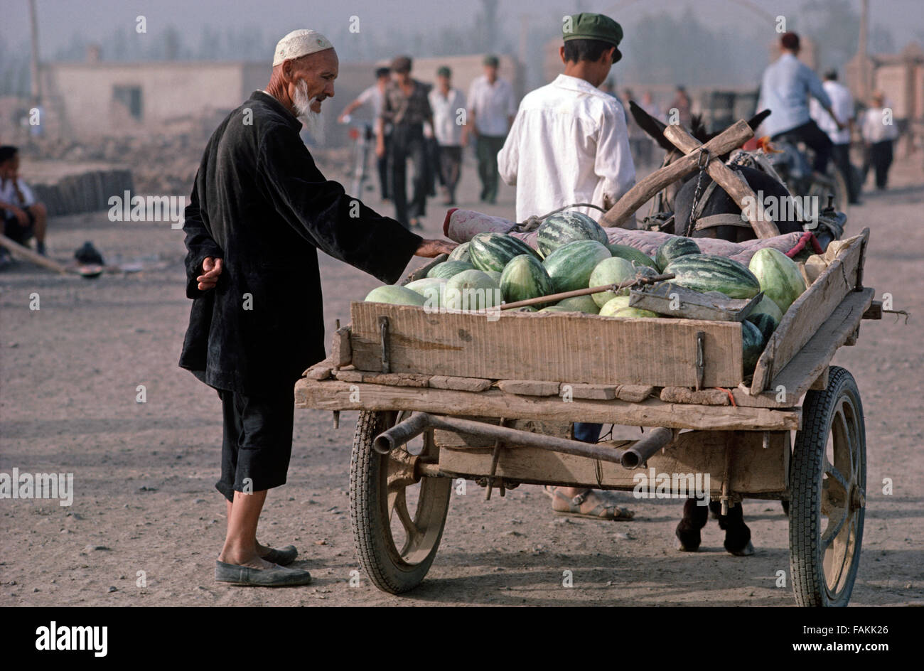 Uyghur man checking melon ripeness from cart and donkey, Turpan ...