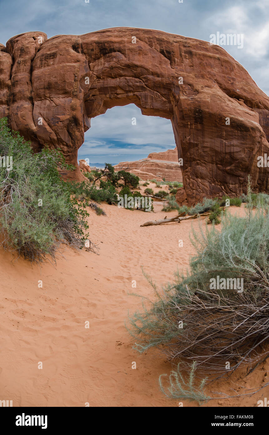 A vertical shot of Pine Tree Arch Stock Photo - Alamy