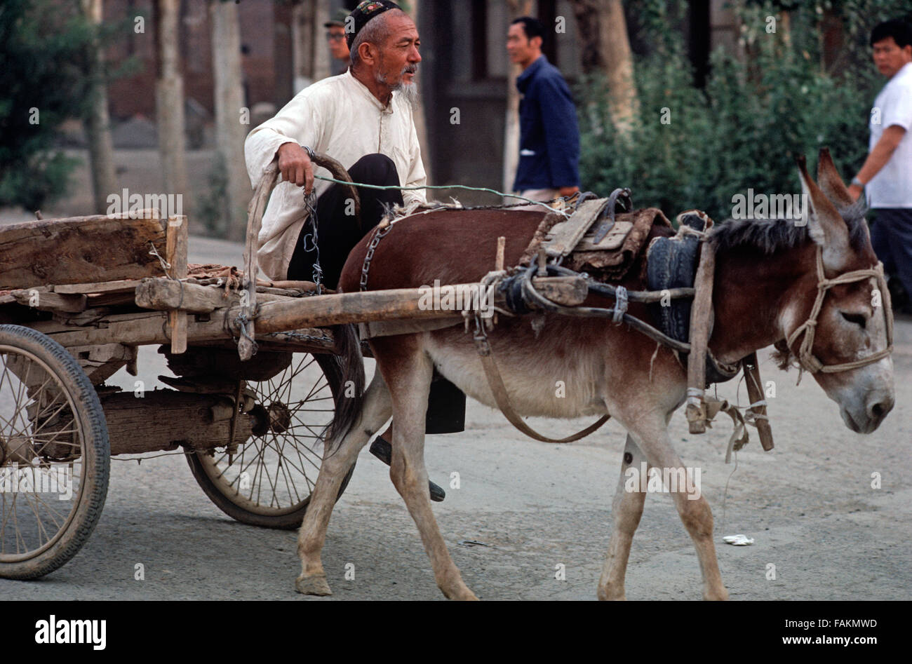 Donkey and cart with Uyghur man, Turpan, Xinjiang Province, China Stock ...