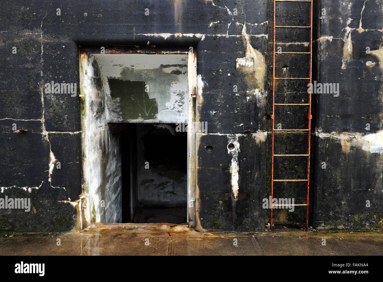 Rusty steel ladder and tunnel entry in moss and algae covered concrete ...