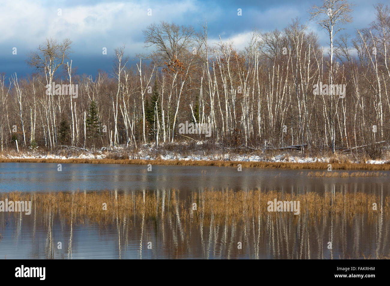 Wilderness lake in northern Wisconsin Stock Photo - Alamy