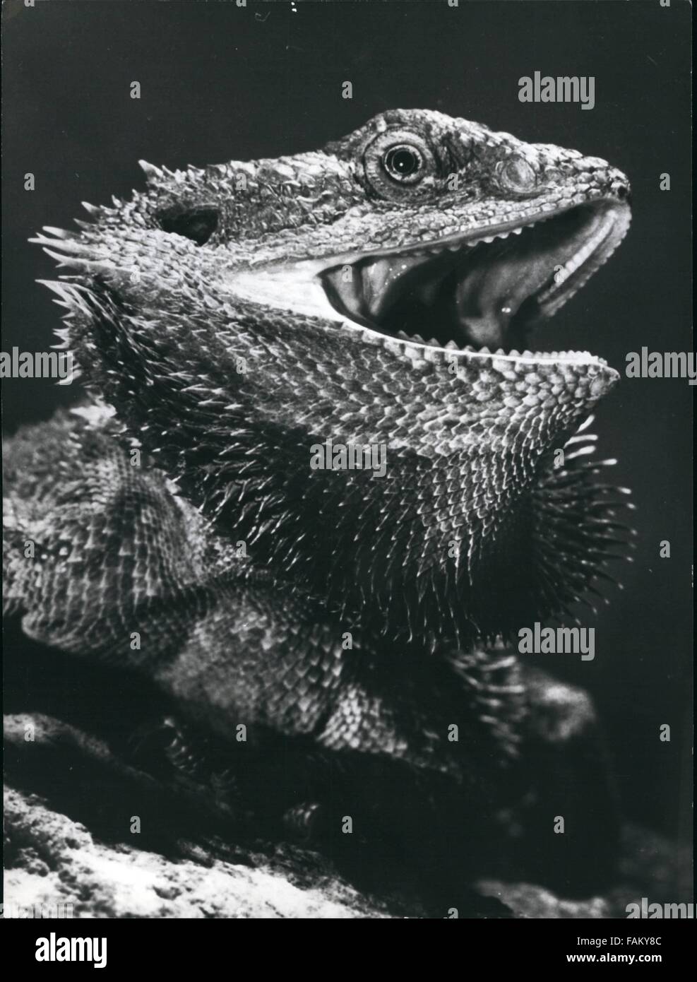 1962 - Friend for a loch ness monster: This grotesque monster, like ...