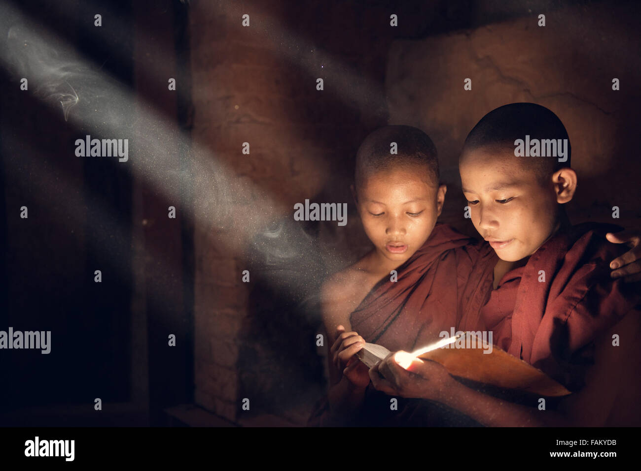 Southeast Asian novice monk reading book inside monastery, beautiful ...