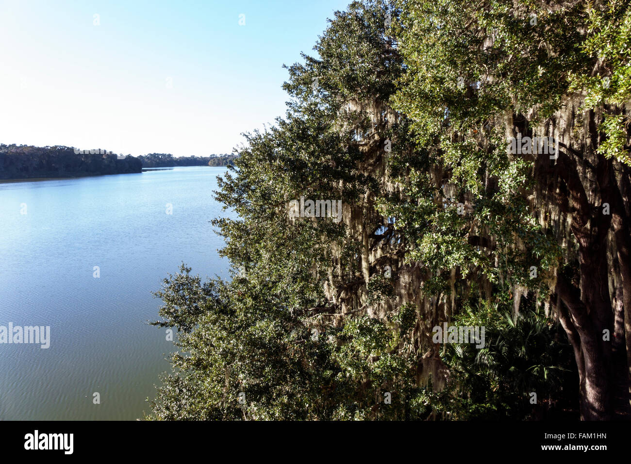 Bivens arm hi-res stock photography and images - Alamy