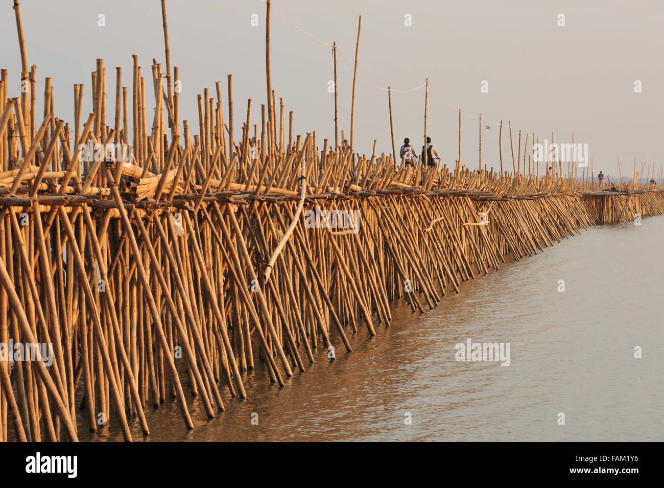 The Bamboo Bridge on the Mekong River, Kampong Cham, Cambodia. credit ...