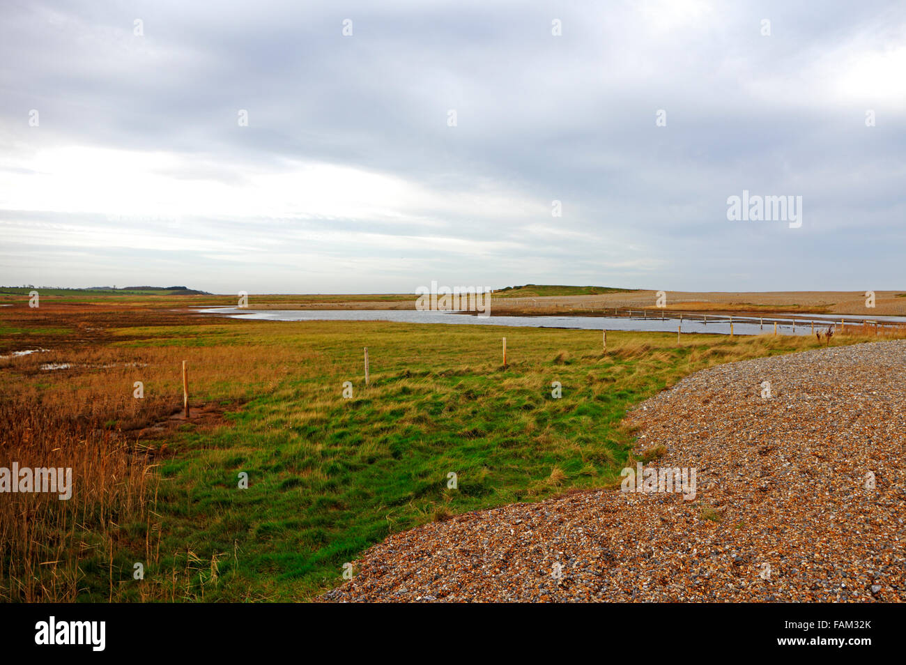 A view of the salt marshes looking west behind the shingle ridge at ...