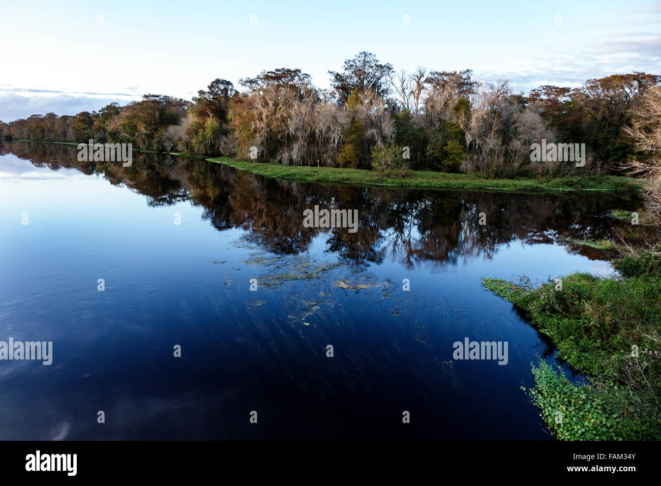 Florida Inverness,Withlacoochee River water,nature,natural,scenery ...