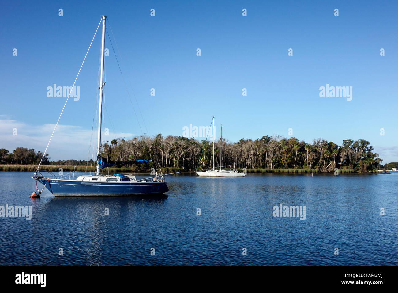 Crystal river national wildlife refuge water manatee sanctuary hi-res ...