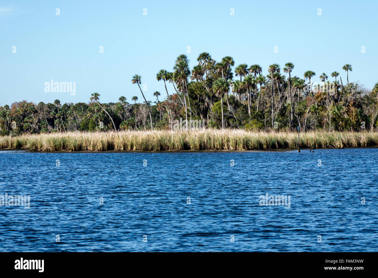 Florida Crystal River water,Kings Bay water,Crystal River water ...
