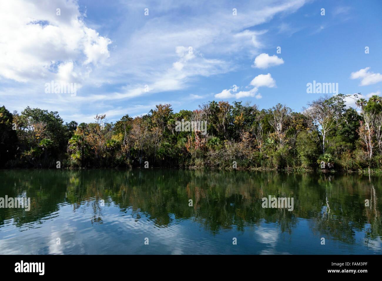 Florida Crystal River water,Kings Bay water,Crystal River water ...