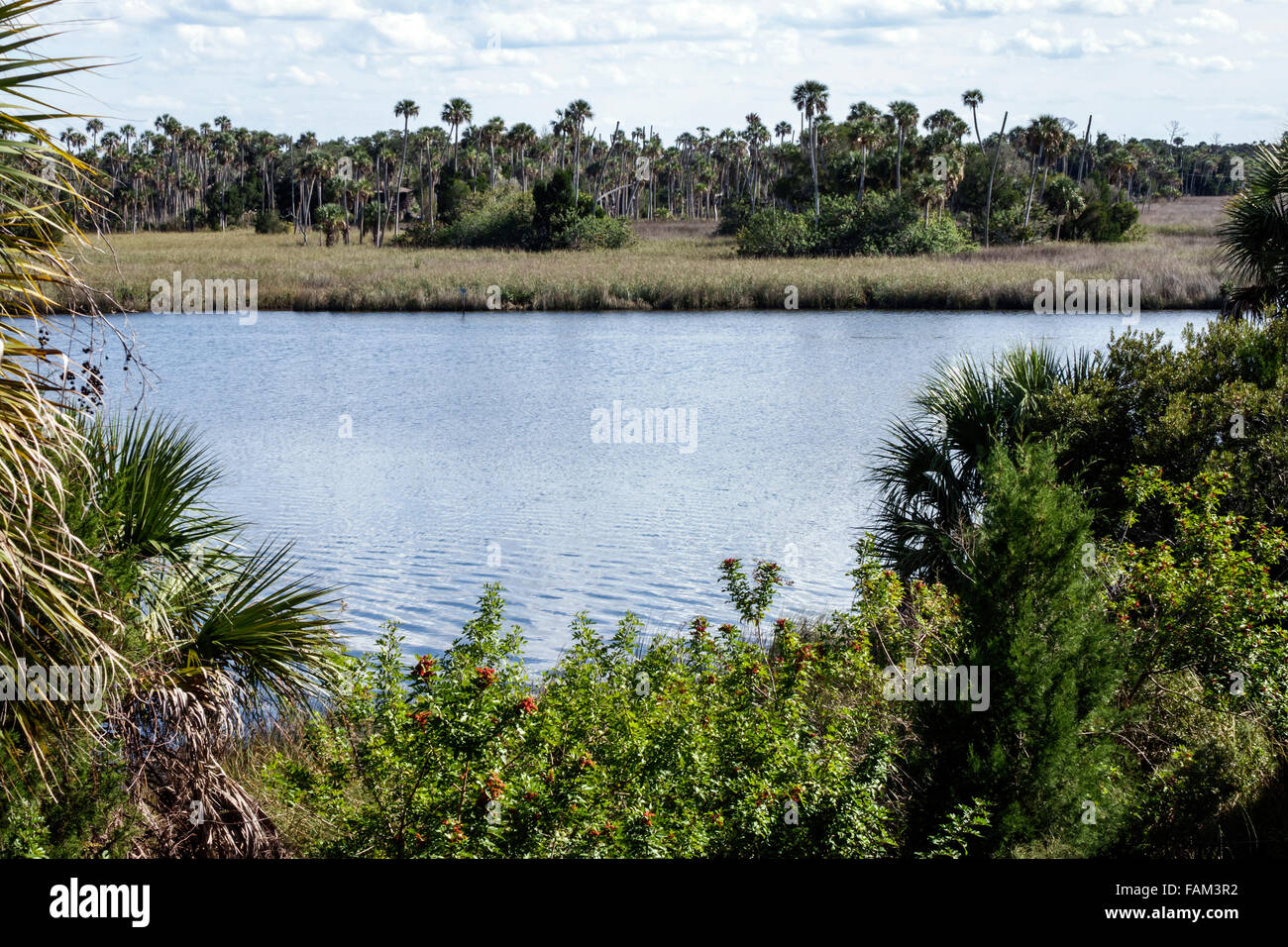 Florida Crystal River water,Fort Island,Salt River water,natural ...