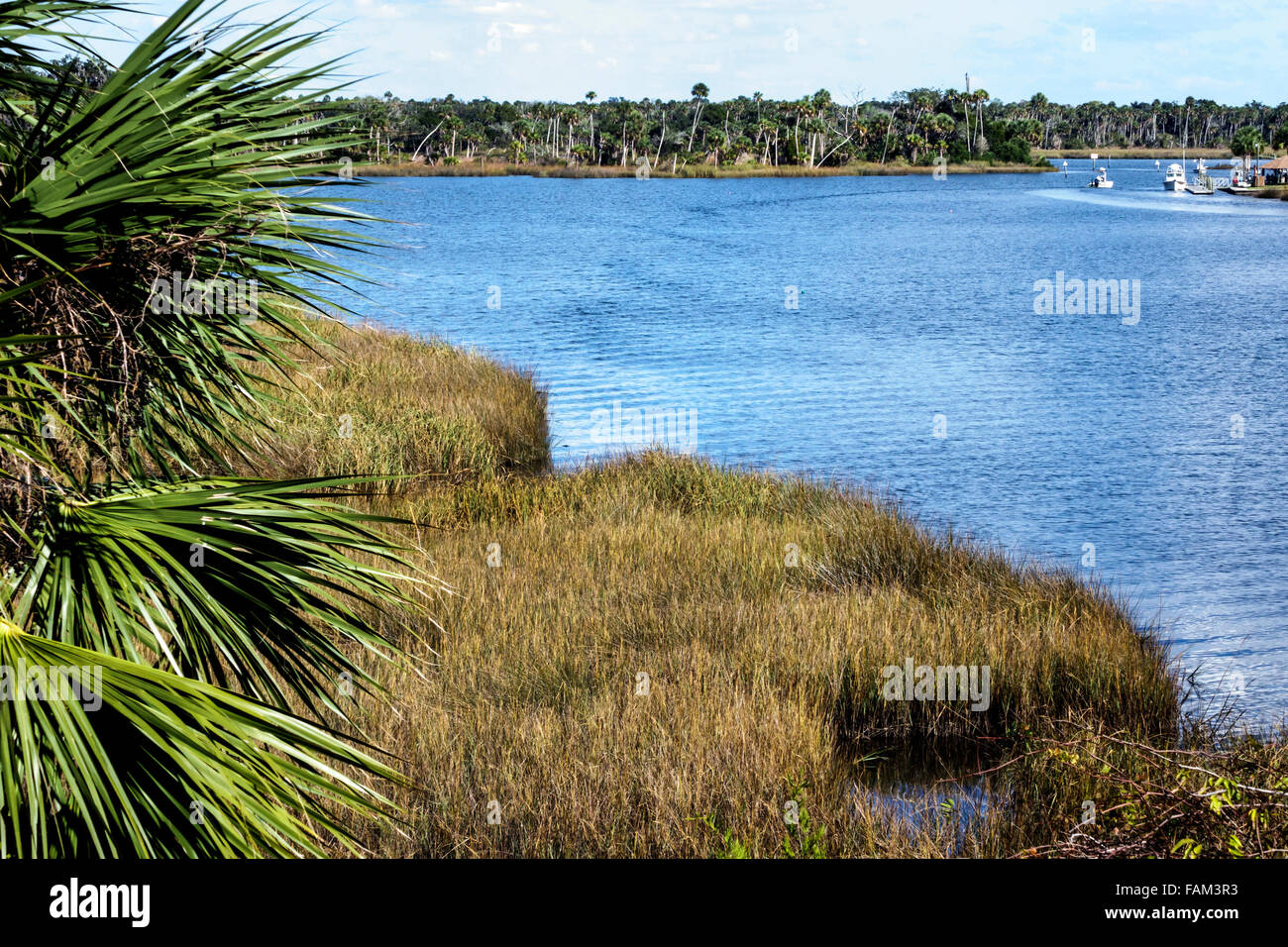 Florida Crystal River water,Fort Island,Salt River water,natural ...