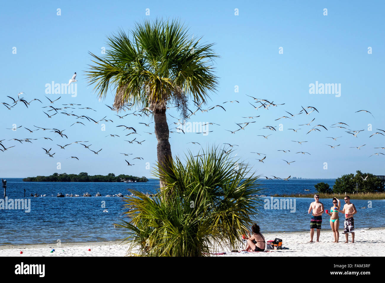 Fort island gulf beach hi-res stock photography and images - Alamy