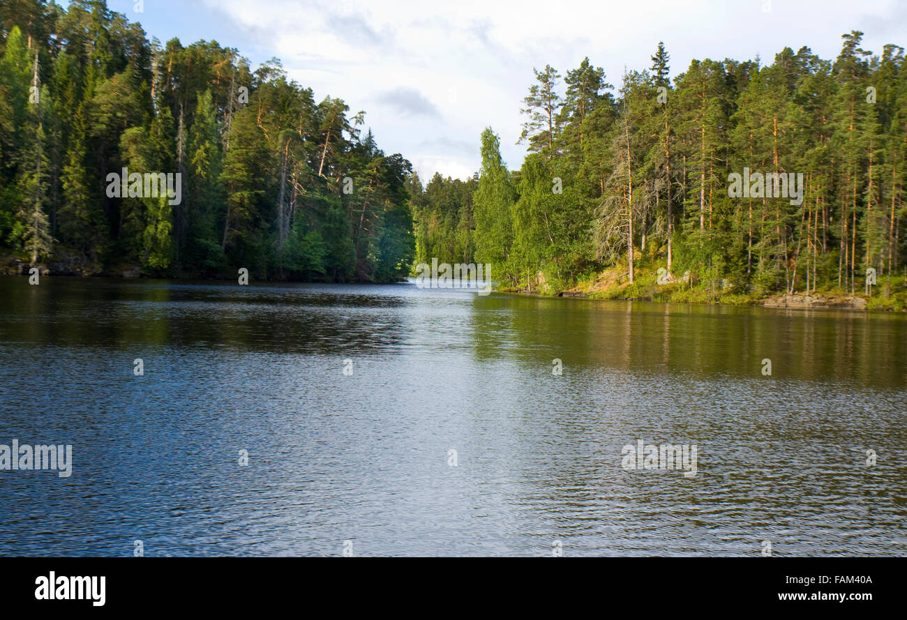 Summer landscape with forest on bank of lake, recorded on Valaam island ...
