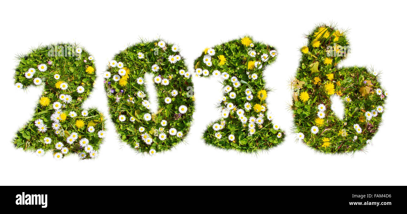 Sun on grass Cut Out Stock Images & Pictures - Alamy