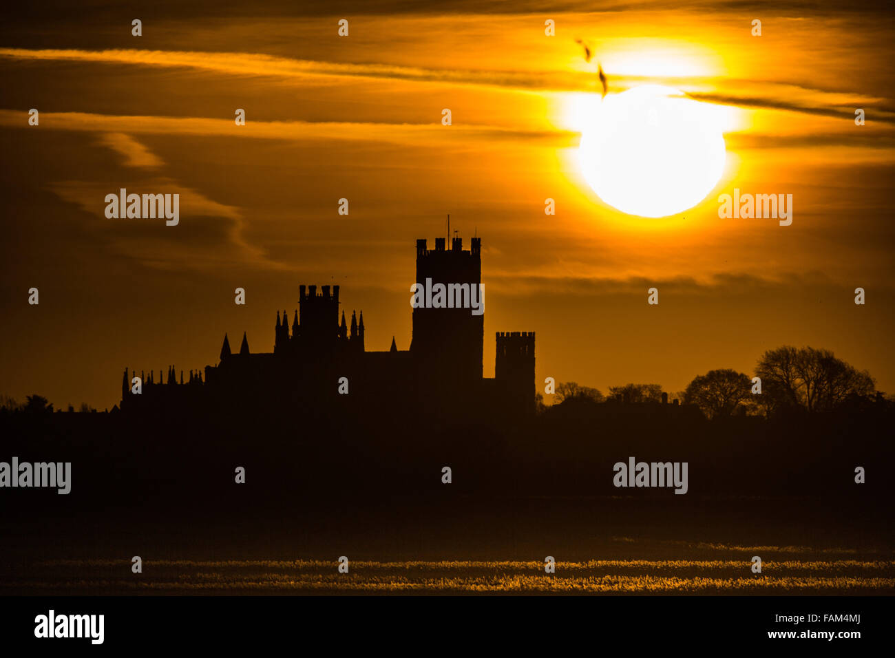 Ely Cathedral at sunrise with The Fens in the foreground Stock Photo ...