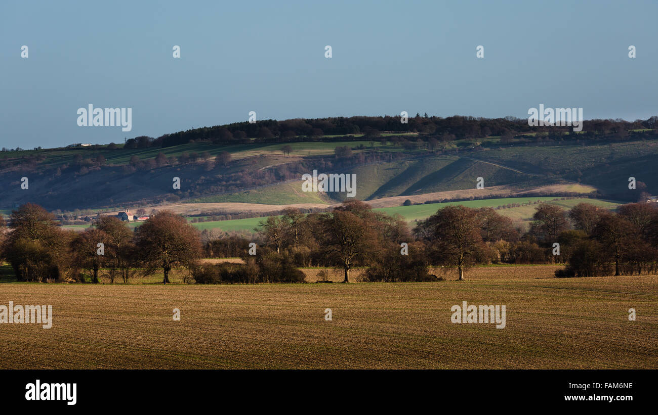 Colour image of Dunstable Downs, Buckinghamshire Stock Photo - Alamy