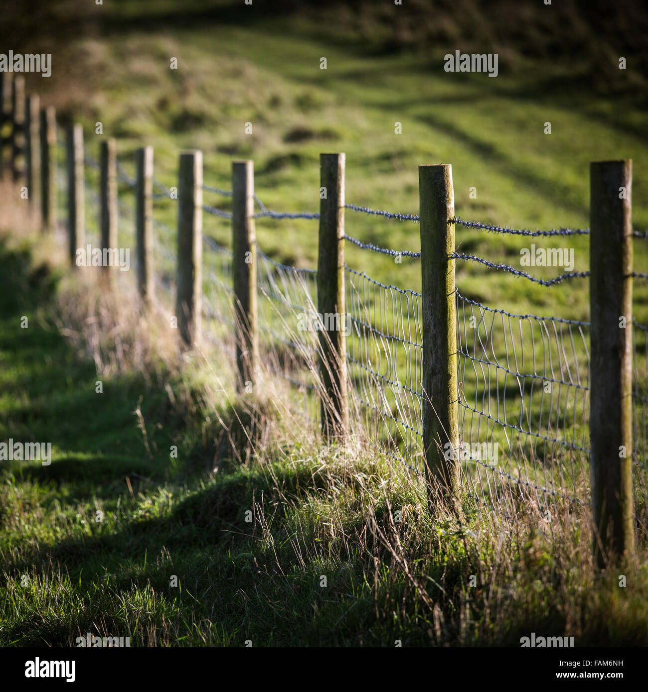 Colour image of fence posts in the English countryside Stock Photo - Alamy