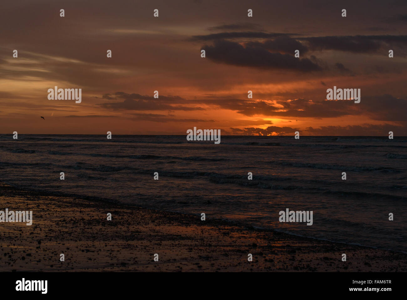 Rustington Uk High Resolution Stock Photography and Images - Alamy