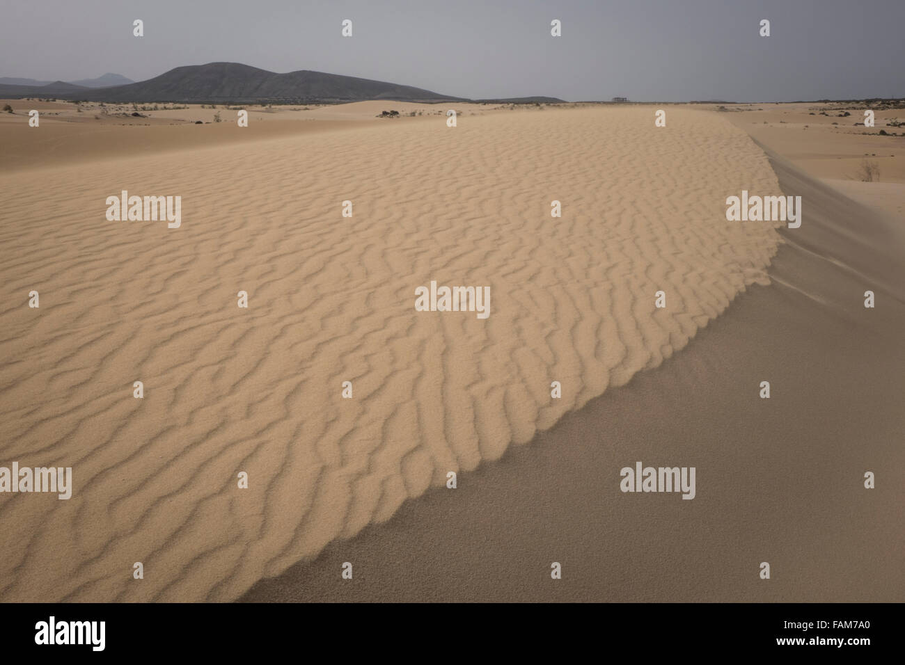 Sand patterns on the Nature reserve, Park Natural, Corralejo ...