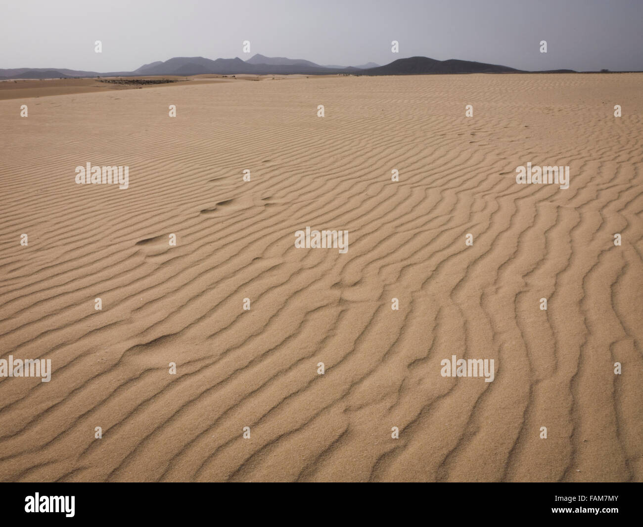 Sand patterns on the Nature reserve, Park Natural, Corralejo ...