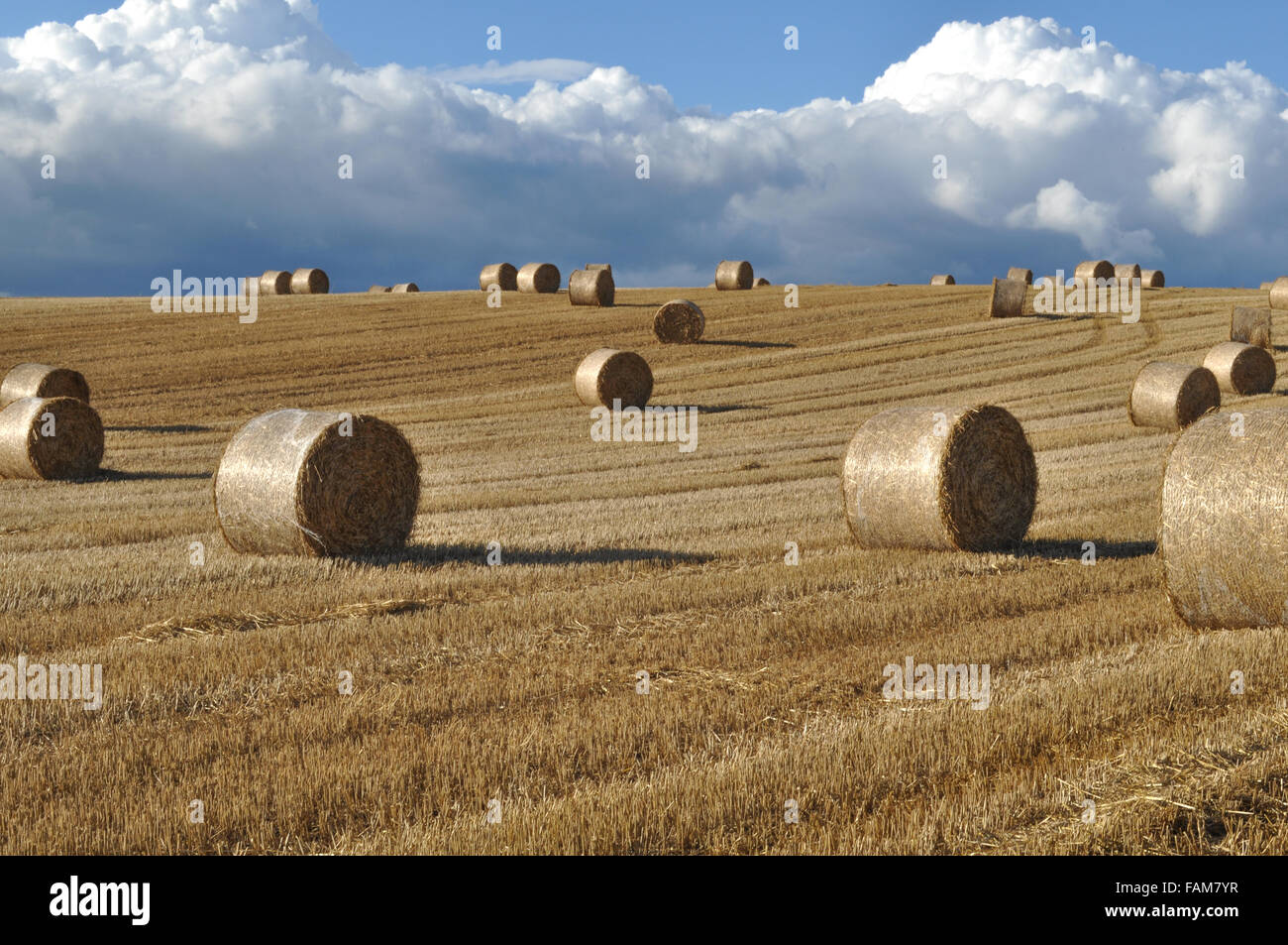 Haybails hi-res stock photography and images - Alamy