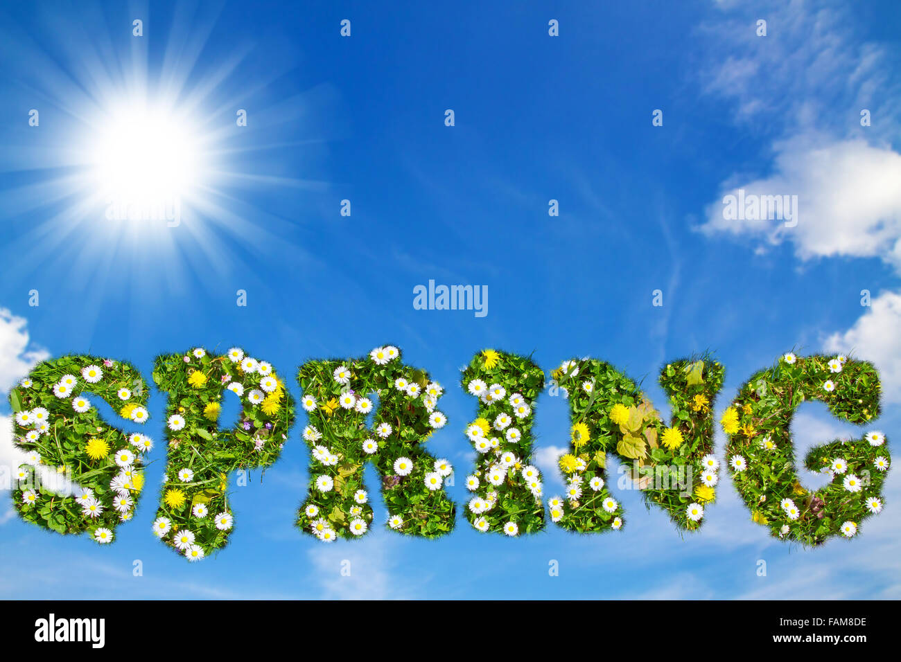 Word spring with flower texture Stock Photo - Alamy