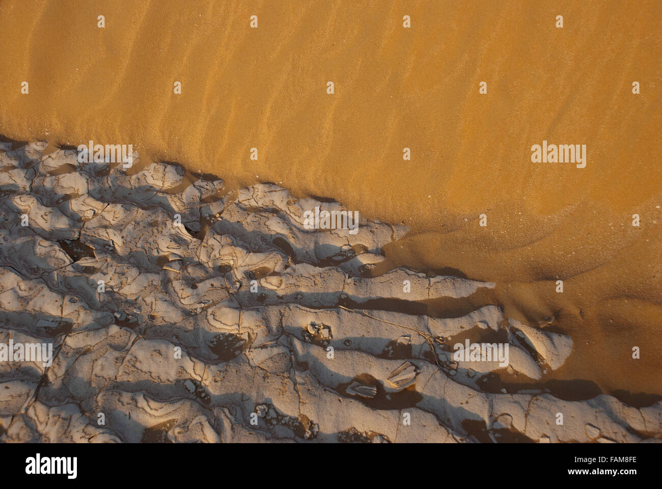 Sand marks in Desert Stock Photo - Alamy