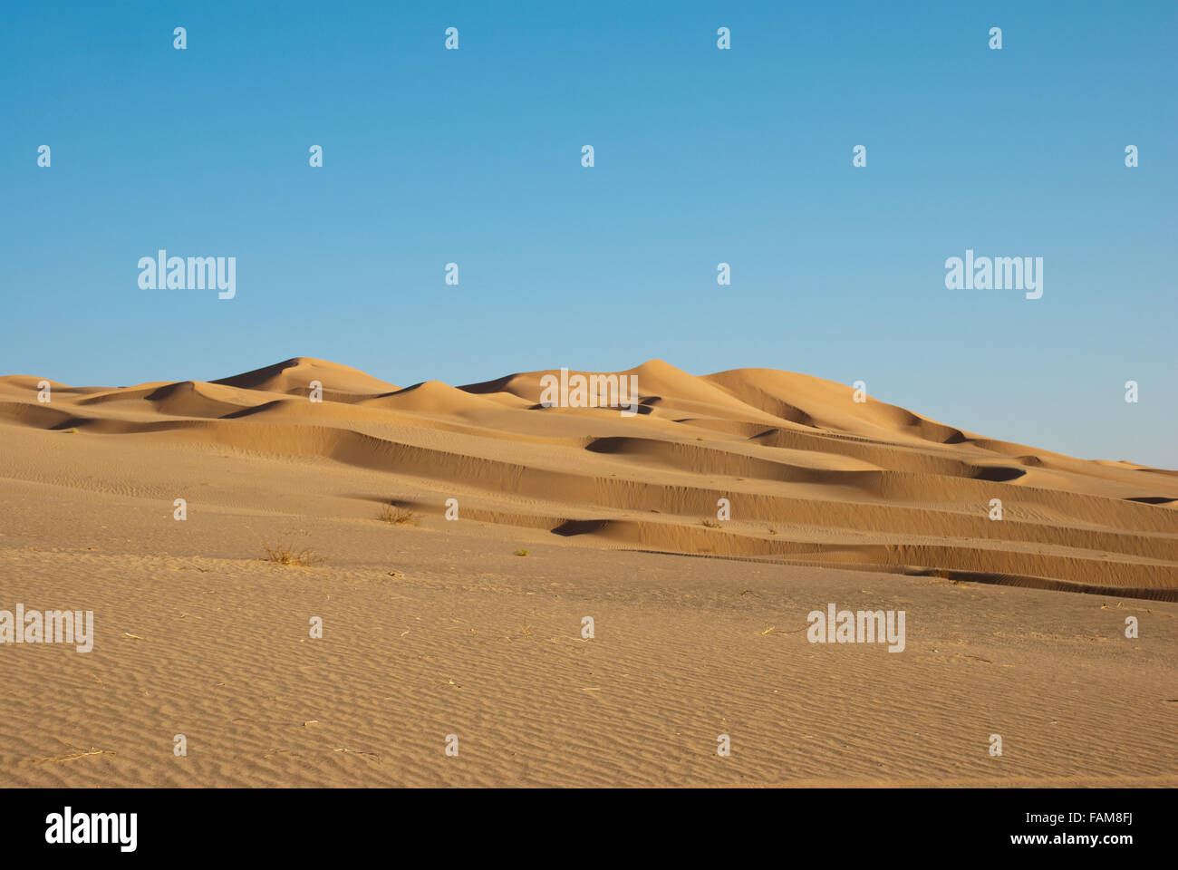 Sand dunes in Oman desert Stock Photo - Alamy