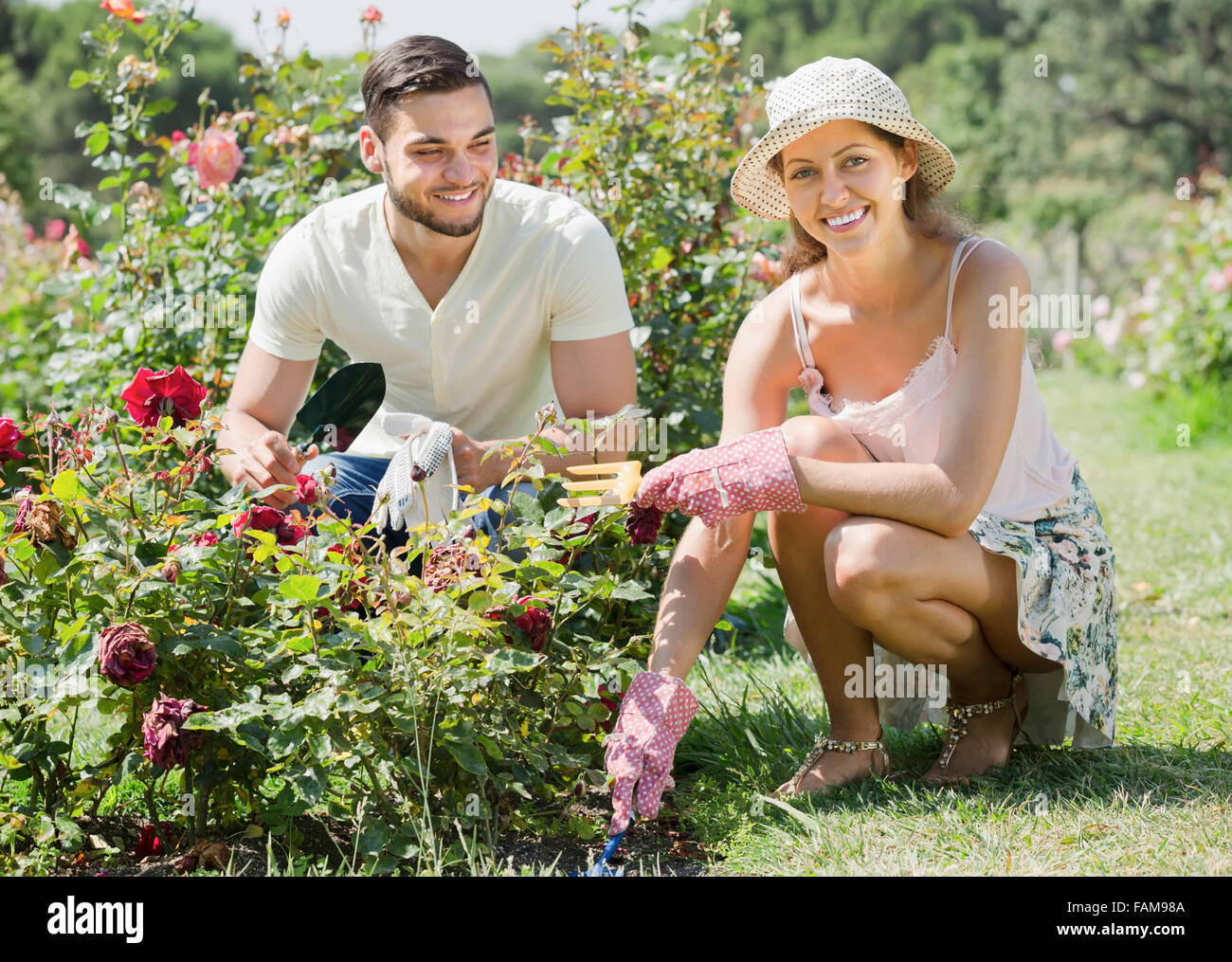 Happy couple planting plants with horticultural sundry in the garden ...