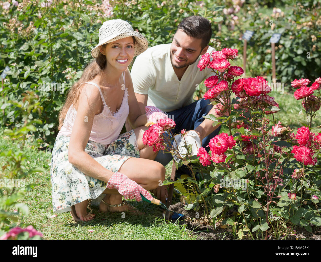Happy couple planting plants in garden at summer day Stock Photo - Alamy