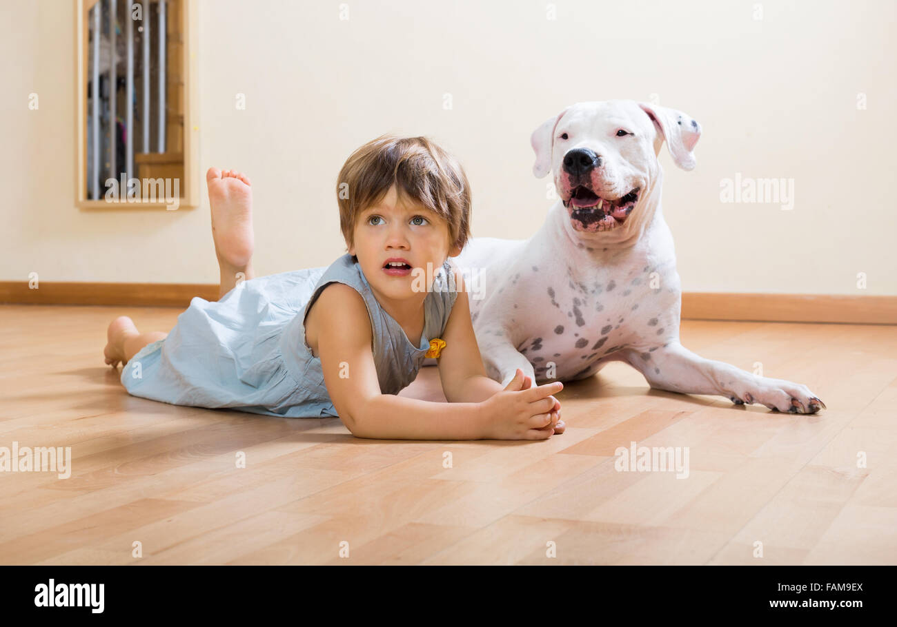 small happy girl on the floor with dogo Argentino Stock Photo - Alamy