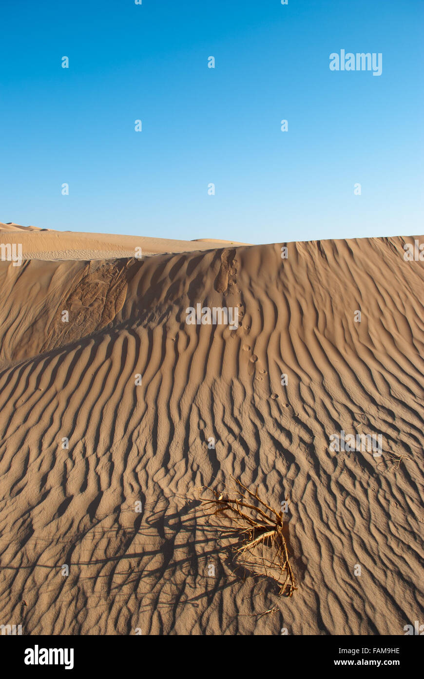Sand dunes in Oman desert Stock Photo - Alamy