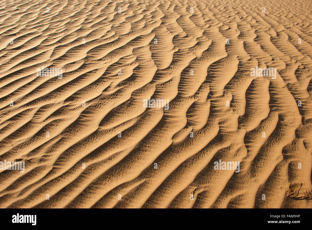Sand marks in Desert Stock Photo - Alamy