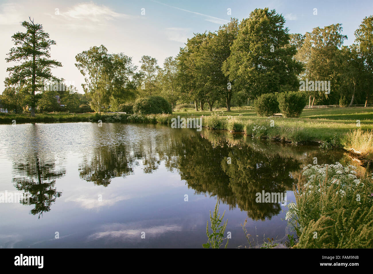 Image of countryside park with pond area Stock Photo - Alamy