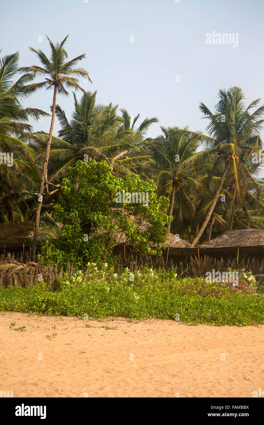 Detail of Agonda beach at Goa, India Stock Photo - Alamy