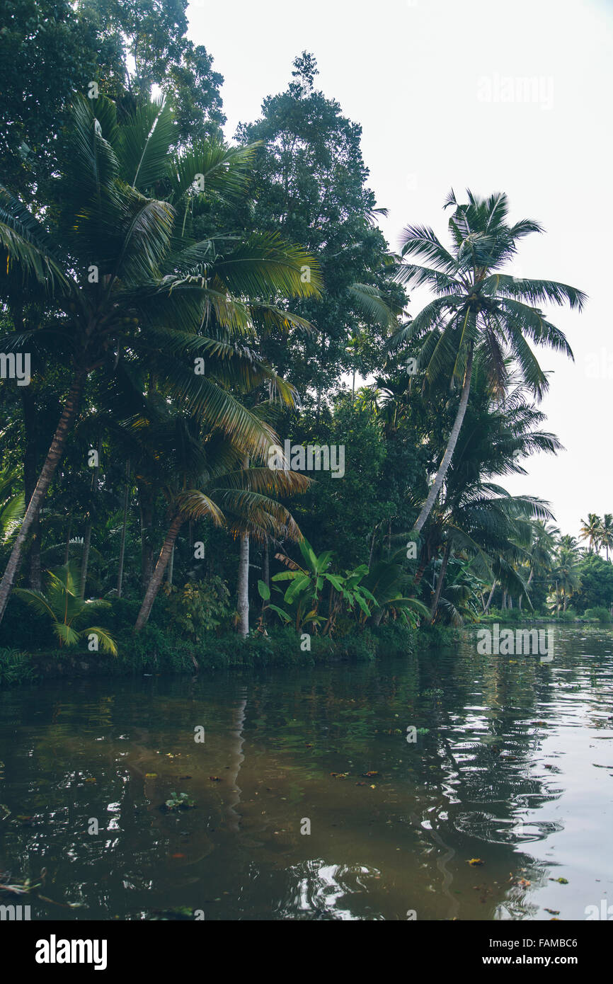 Backwaters in Kerala, India. The backwaters are an extensive network of ...