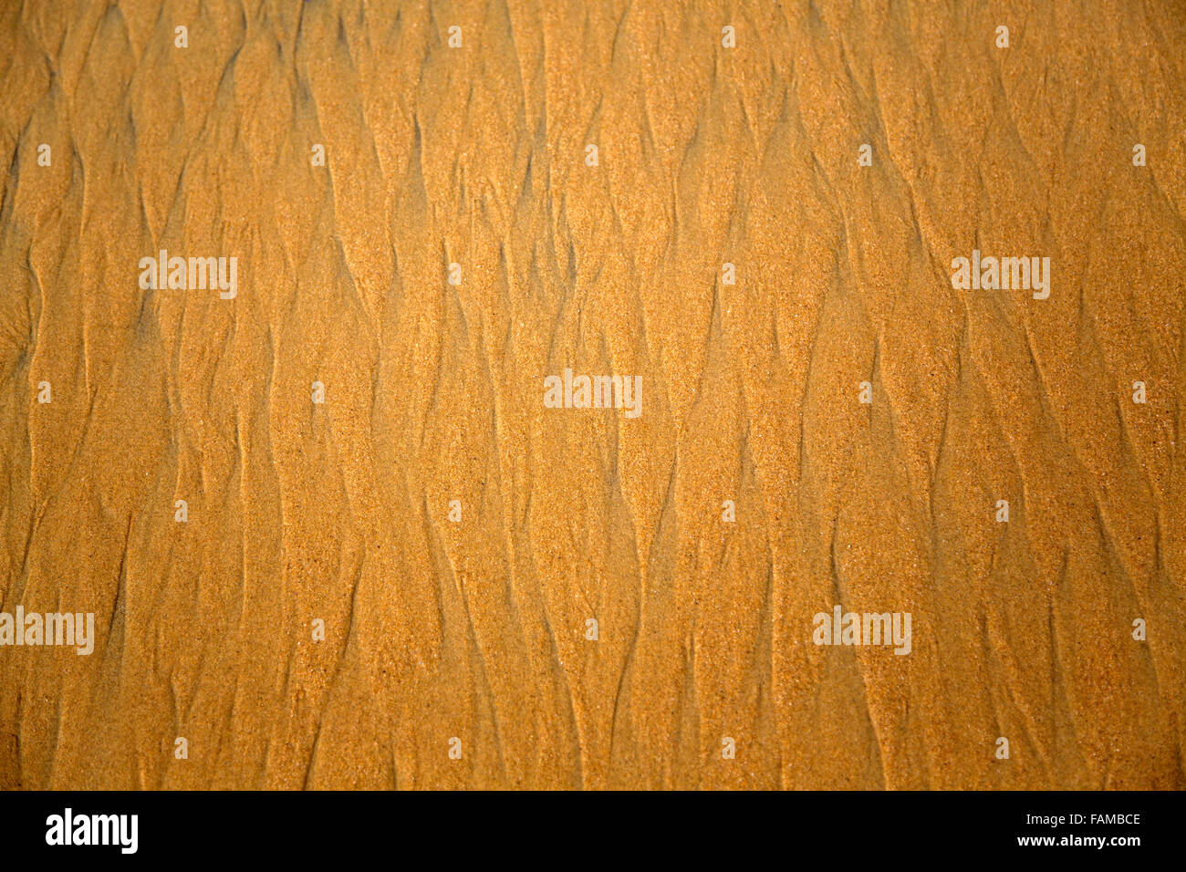 Closeup detail of the sand ripples Stock Photo - Alamy