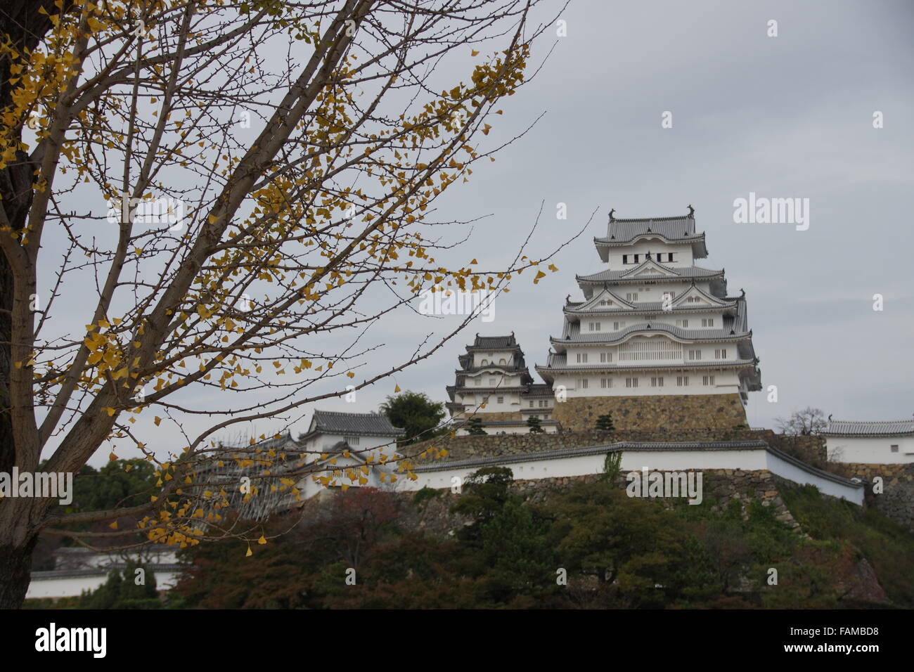 Kyoto japan castle hi-res stock photography and images - Alamy