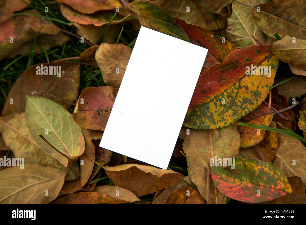 Blank business card template Stock Photo - Alamy