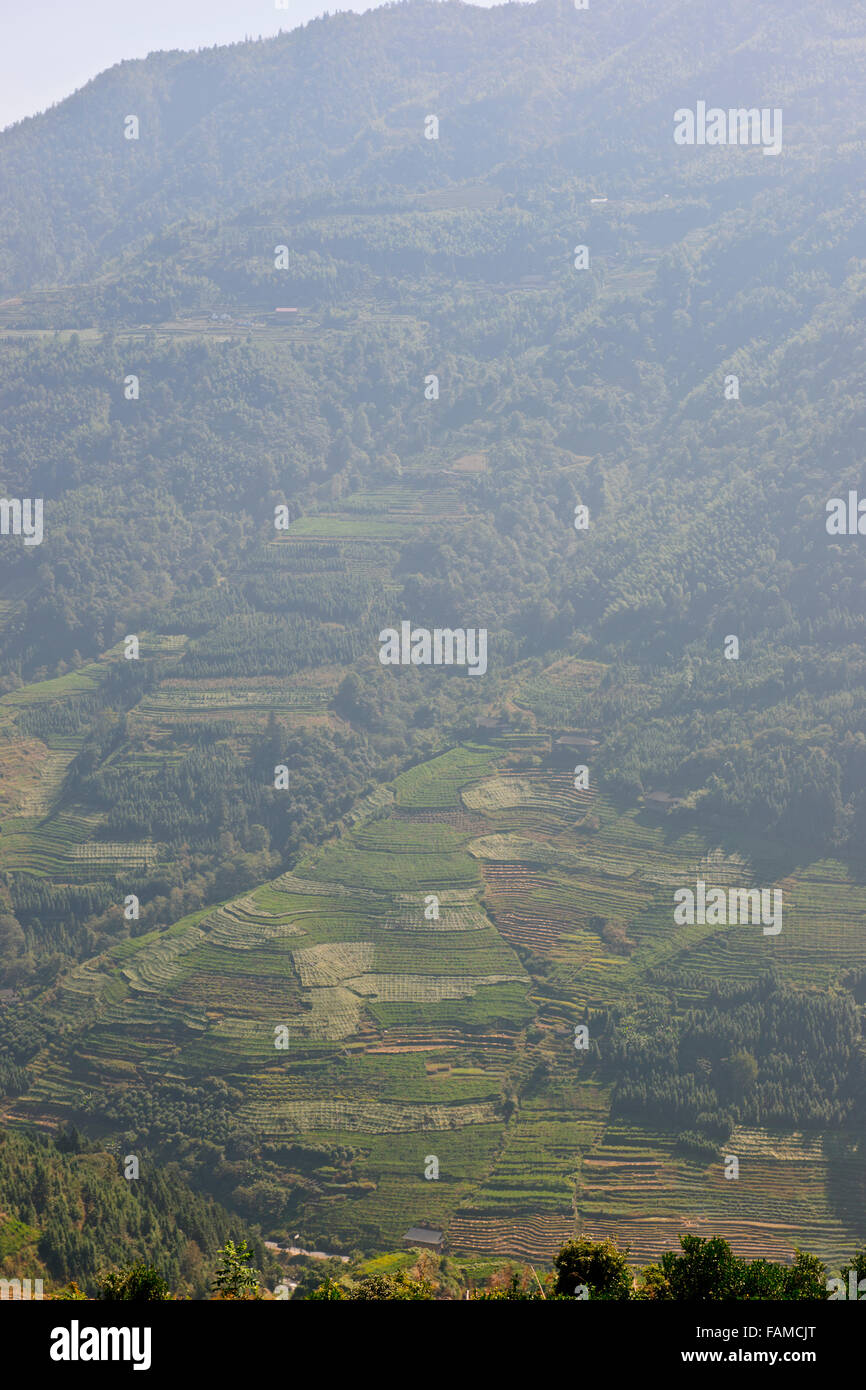 Jinkeng terraced fields hi-res stock photography and images - Alamy