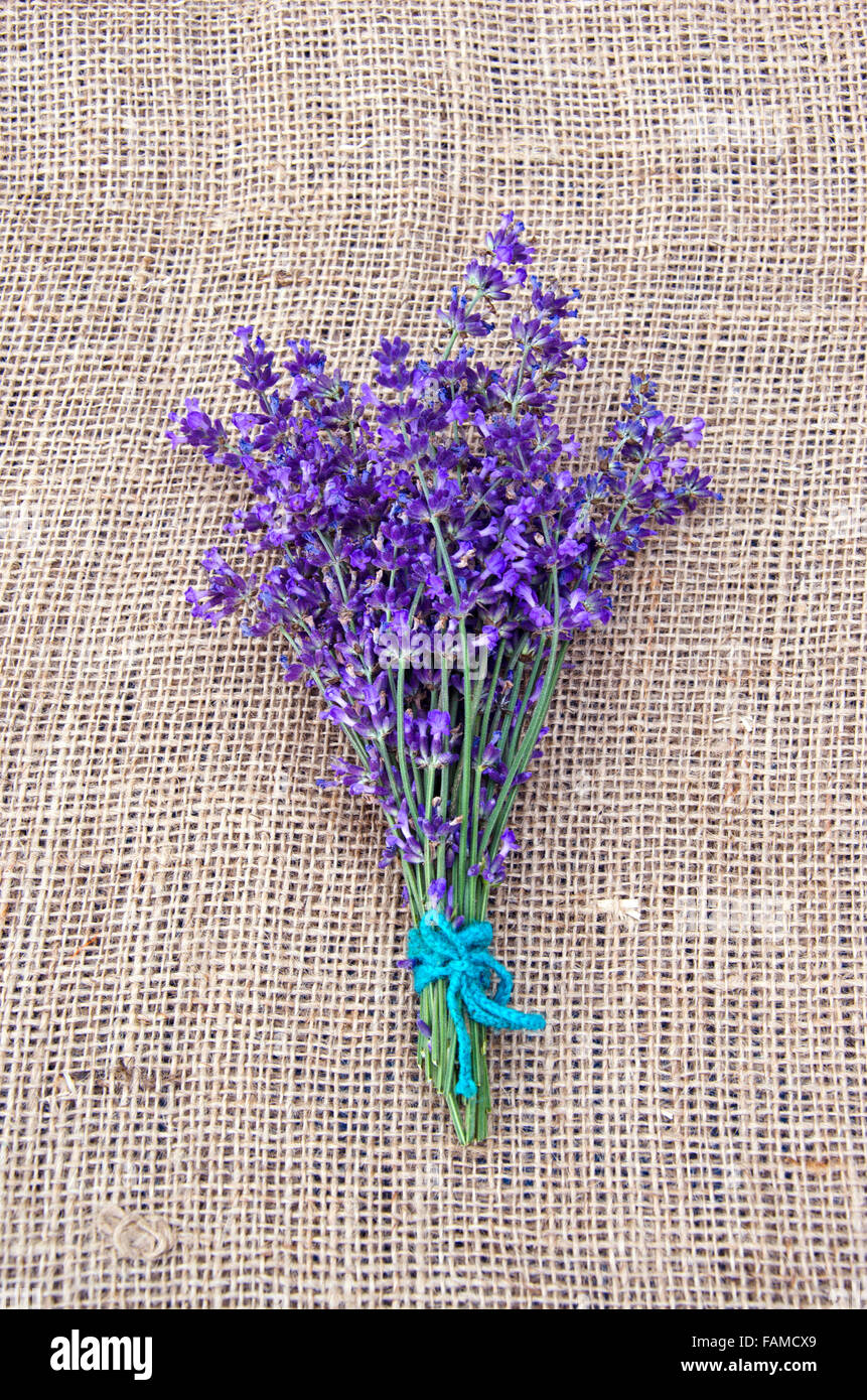 Bunch of violet lavender tied with string placed on linen cloth Stock ...