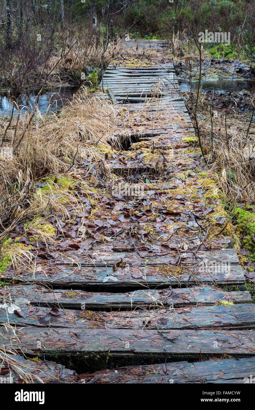 Rotten bridge hi-res stock photography and images - Alamy