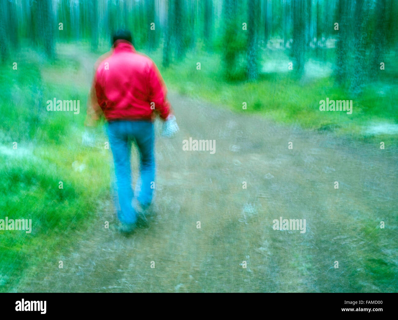 Walking alone in the forest Stock Photo - Alamy