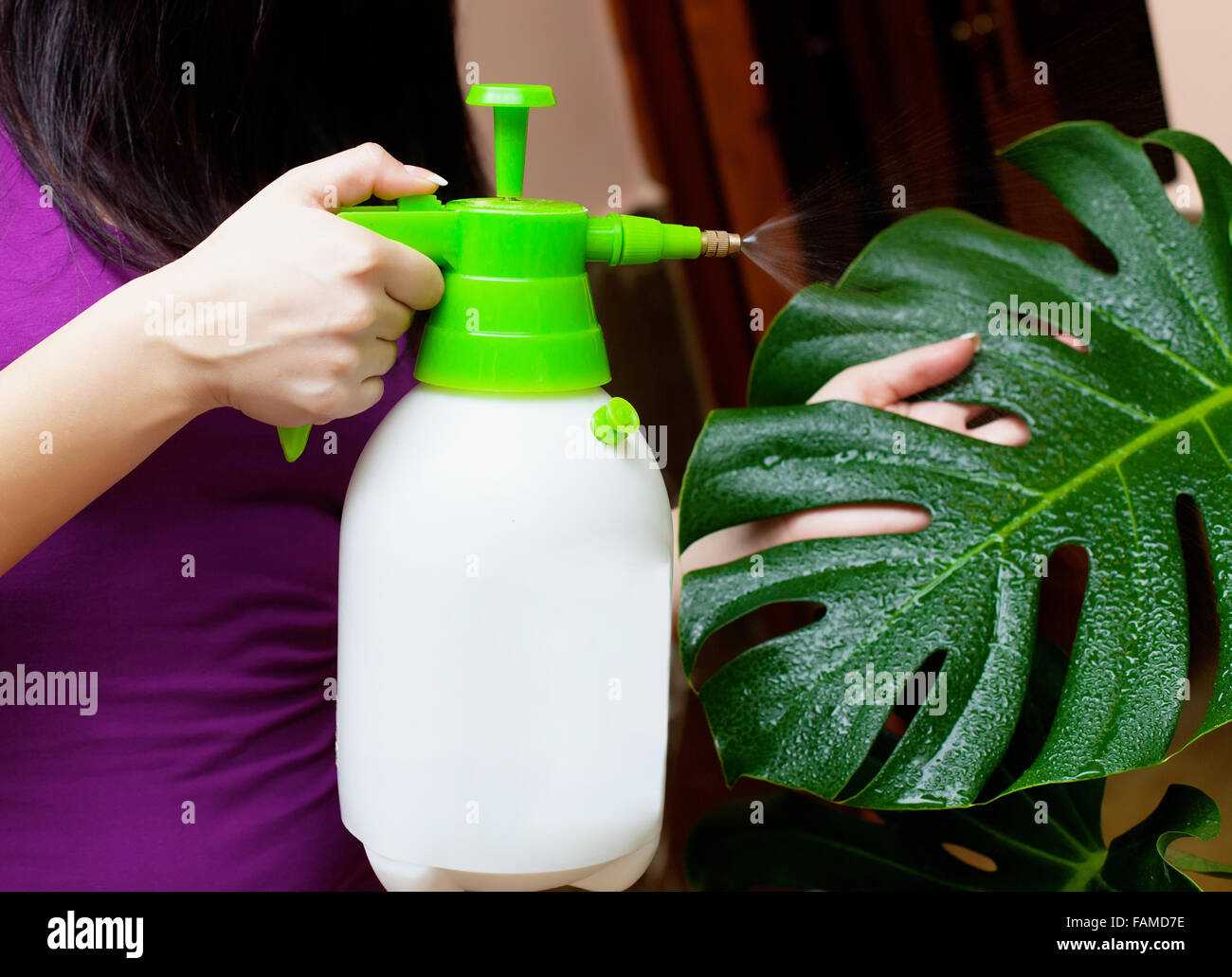 Girl with spray in garden Stock Photo - Alamy