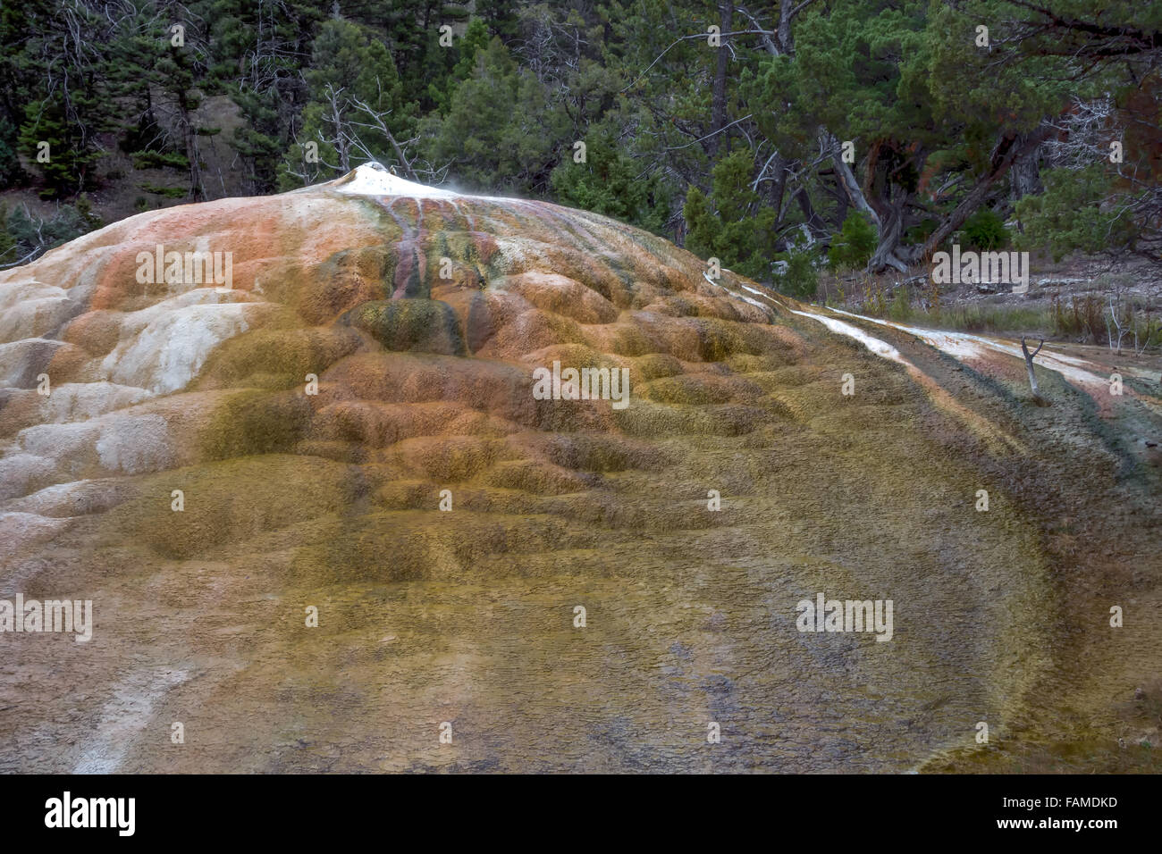 Spring mound hi-res stock photography and images - Alamy