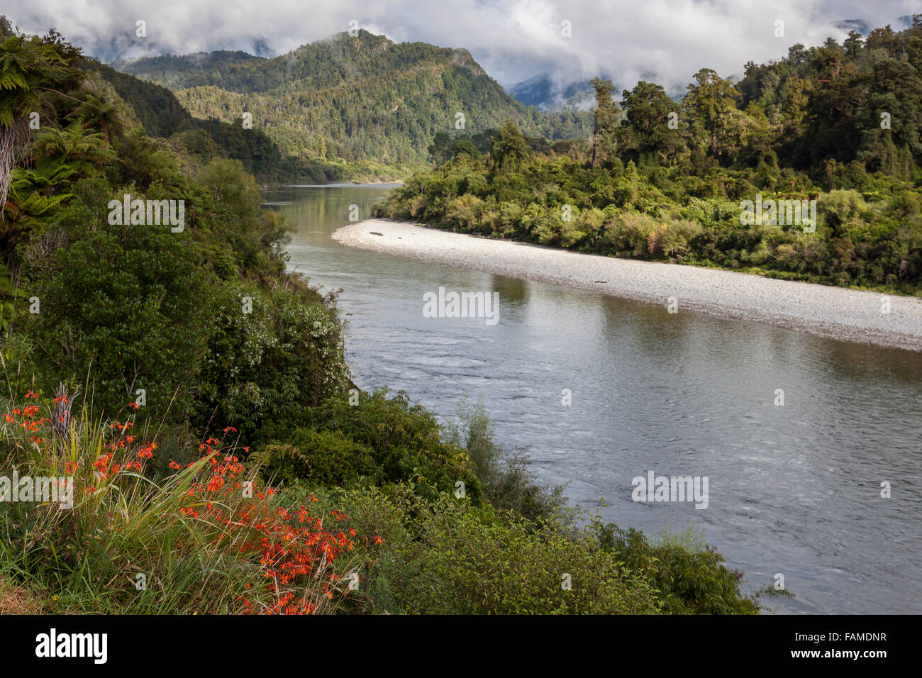Buller River valley Stock Photo - Alamy