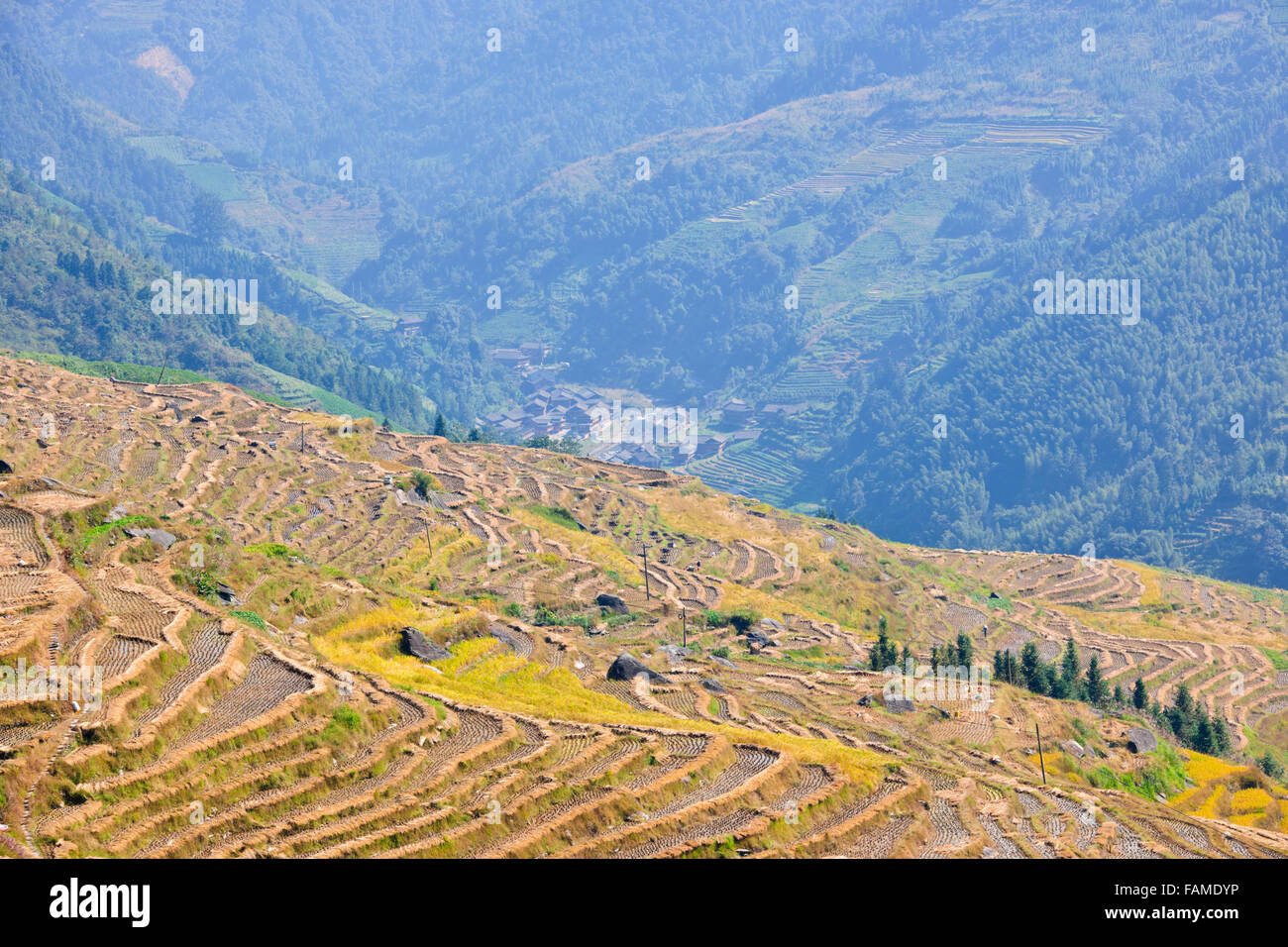 Jinkeng (Dazhai) Red Yao Terraced Fields,Surrounding Area,Rice Terraces ...